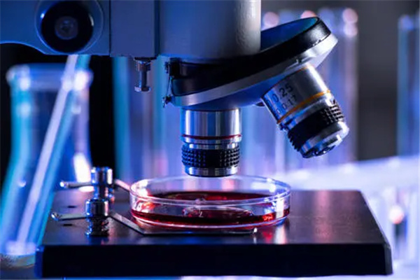 Precision Strain Wave Generator Sealed Harmonic Zero Backlash Reducer Gears